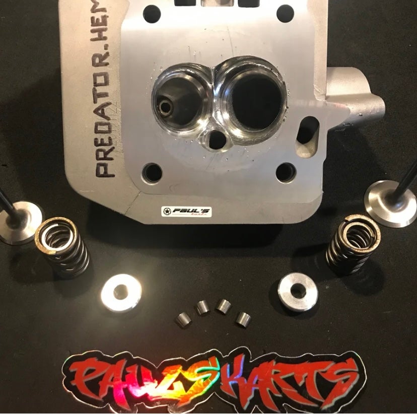 ** BADDEST HEAD AVAILABLE ANYWHERE ** non hemi 43mm / 38mm valve ...