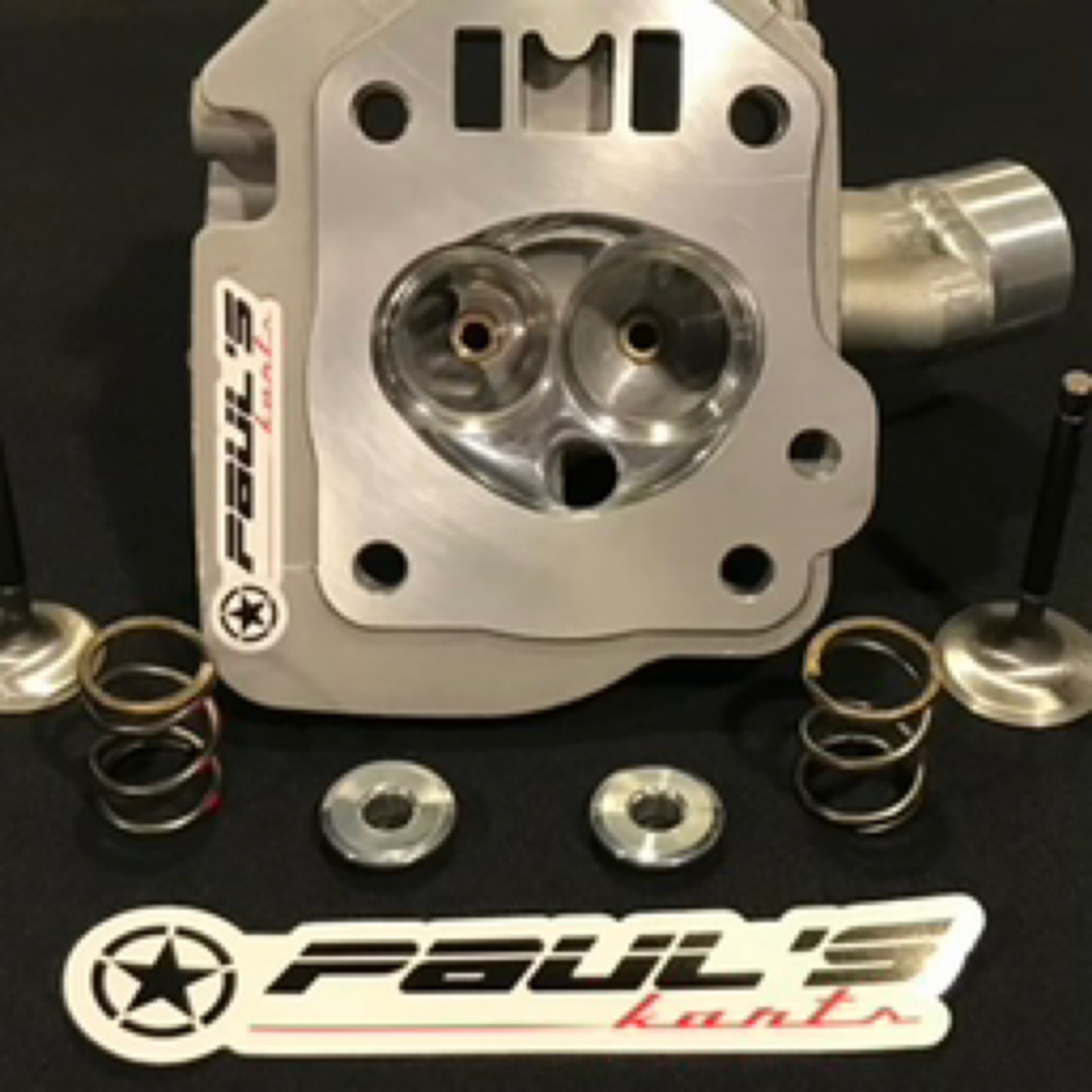 Predator 212 big valve head ported polished | PAULS KARTS RACING 🇺🇸