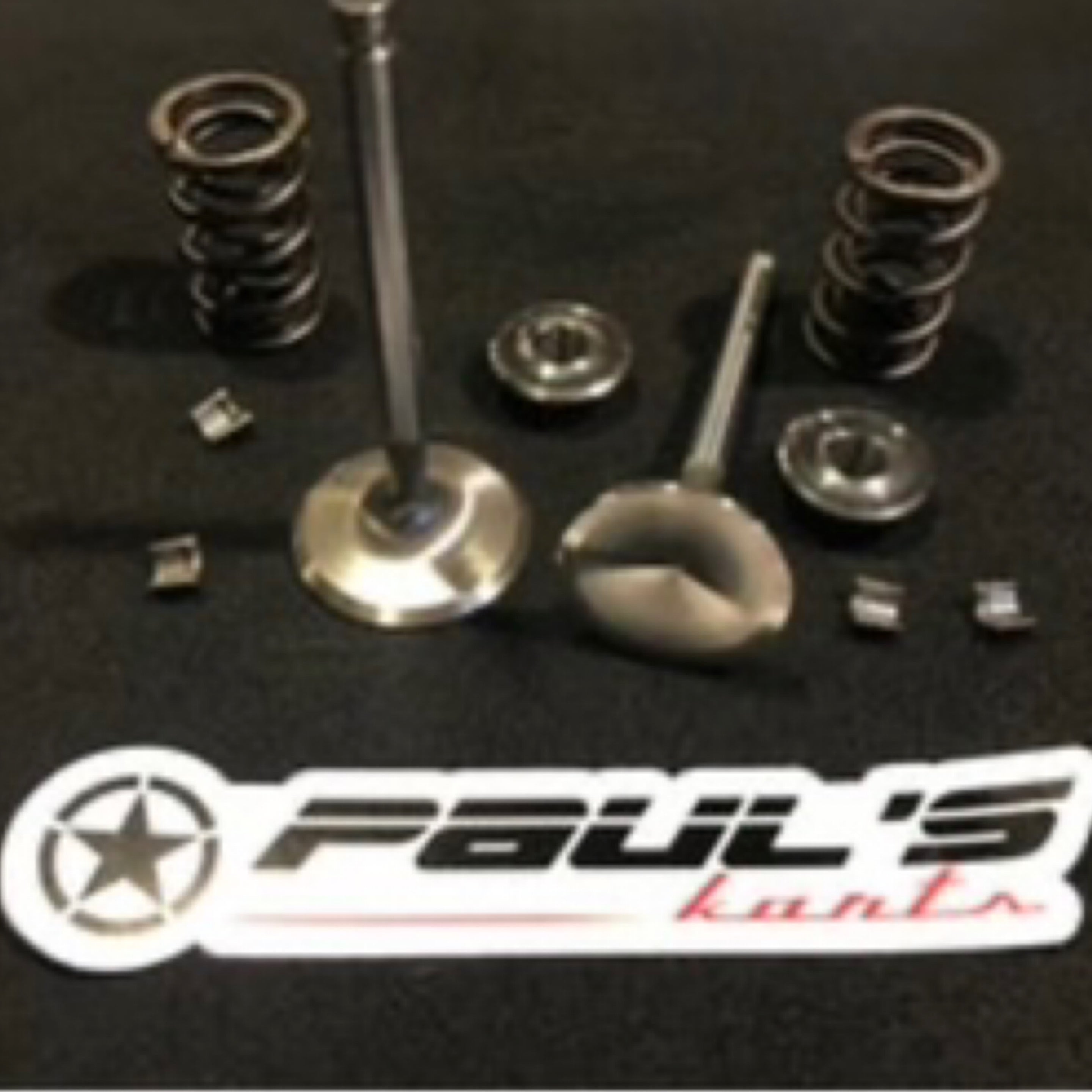 Big block valve train ( HIGH LIFT) 38/34 long stainless valves 6.5mm ...